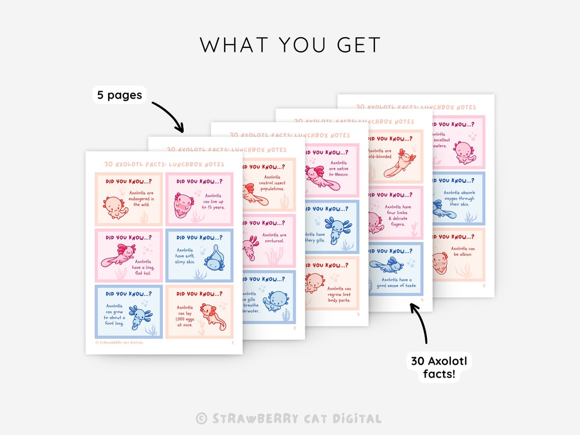 Axolotl Facts Lunchbox Notes PRINTABLE Lunch Notes for Kids Animal ...