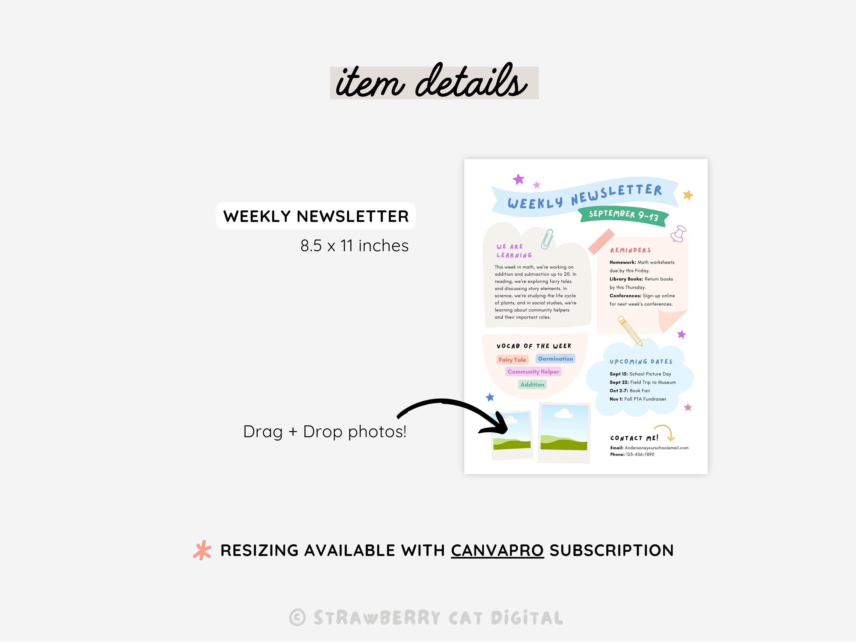 Editable Weekly Newsletter Bright Hues Canva Template | Monthly ...