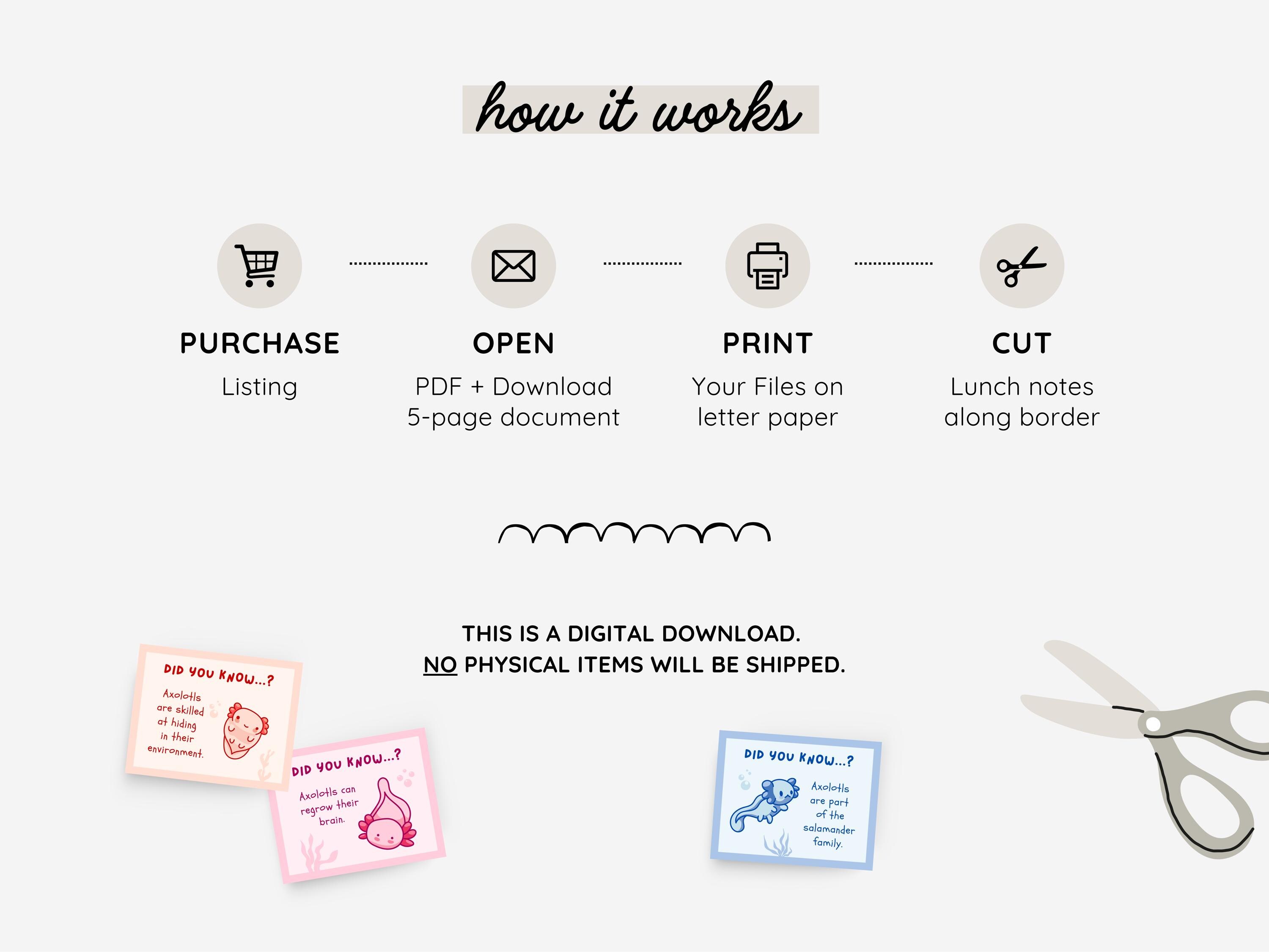 Axolotl Facts Lunchbox Notes | Printable Lunch Notes for Kids | Animal ...