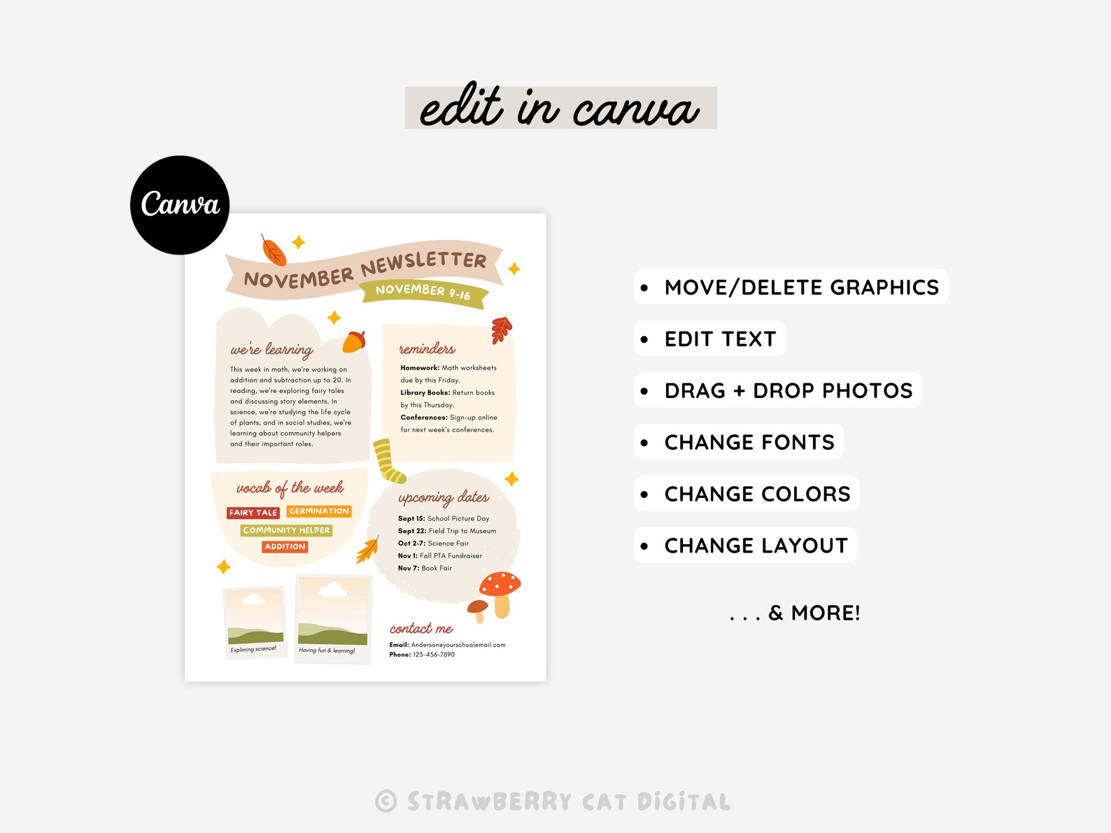 Editable November Newsletter Canva Template | Fall Newsletter Monthly ...