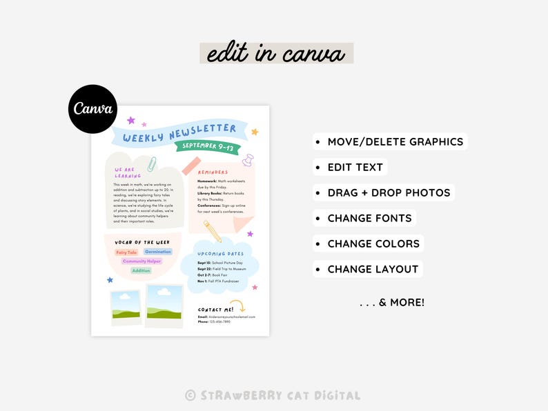 Editable Weekly Newsletter Bright Hues Canva Template | Monthly ...