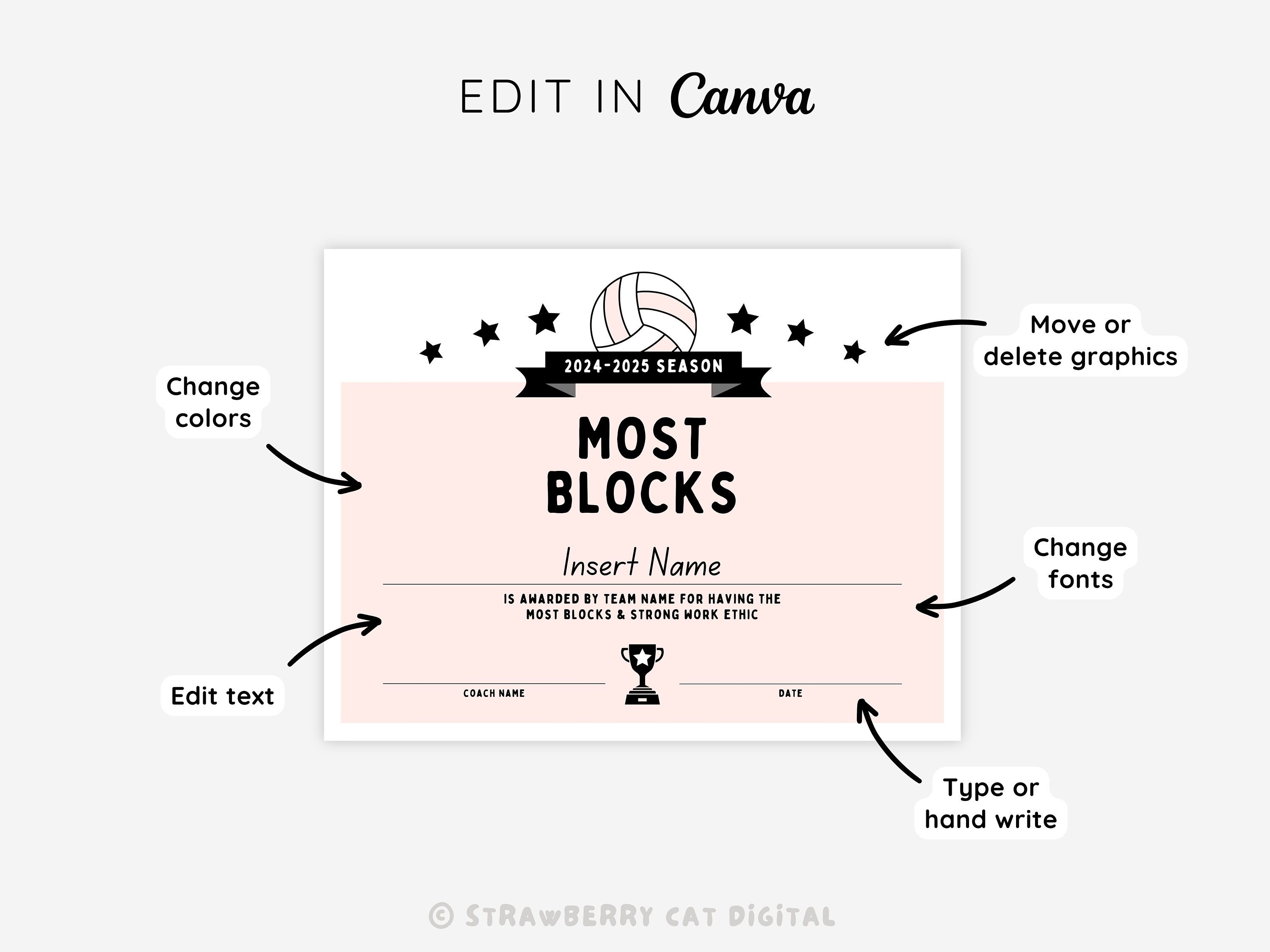Editable Volleyball Certificate | End of Season Award | Canva Template ...