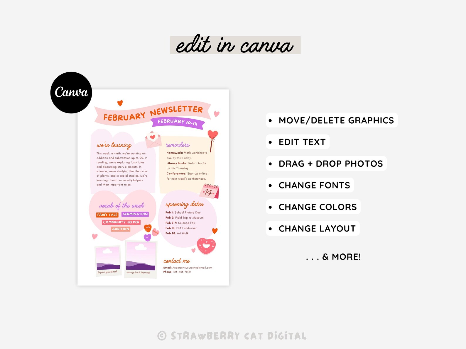 Editable February Newsletter Template | Valentines Day Newsletter ...