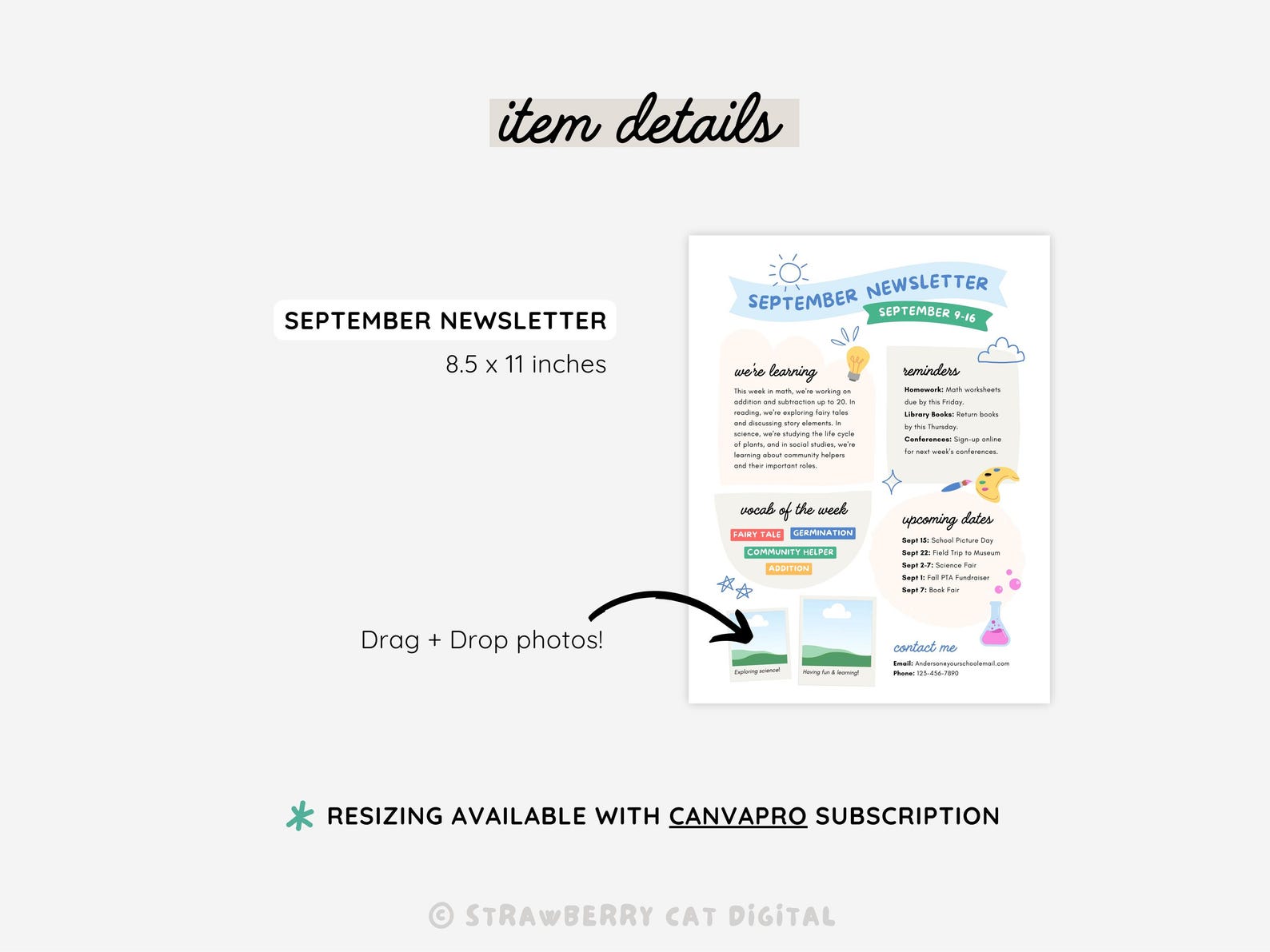 Editable September Newsletter Canva Template | Fall Newsletter Monthly ...