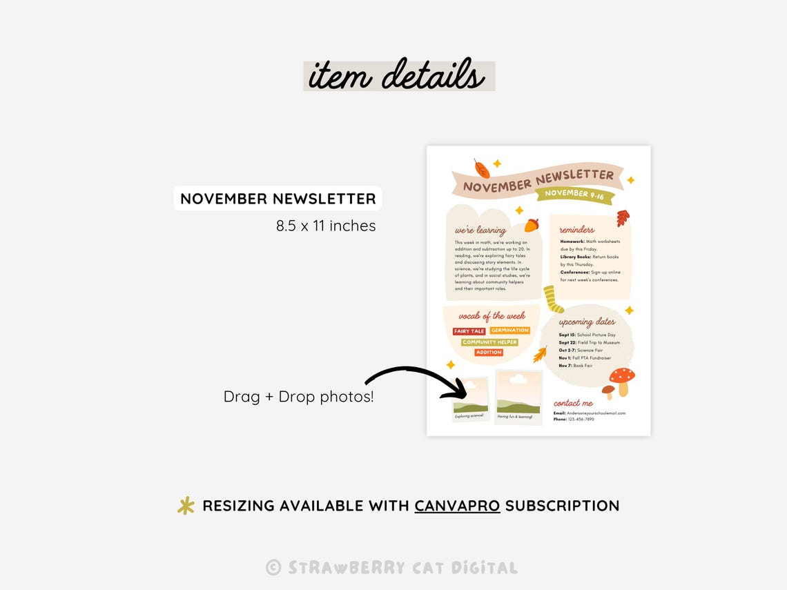 Editable November Newsletter Canva Template | Fall Newsletter Monthly ...