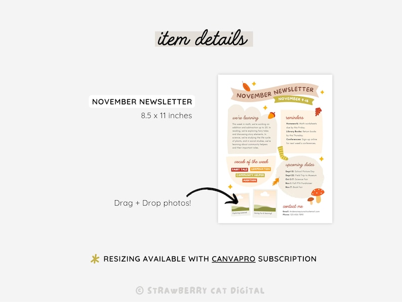 Editable November Newsletter Canva Template | Fall Newsletter Monthly ...