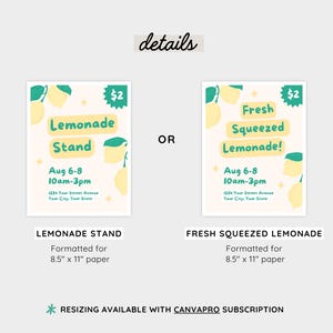 Editable Lemonade Stand Signage Template | Lemonade Stand Poster ...
