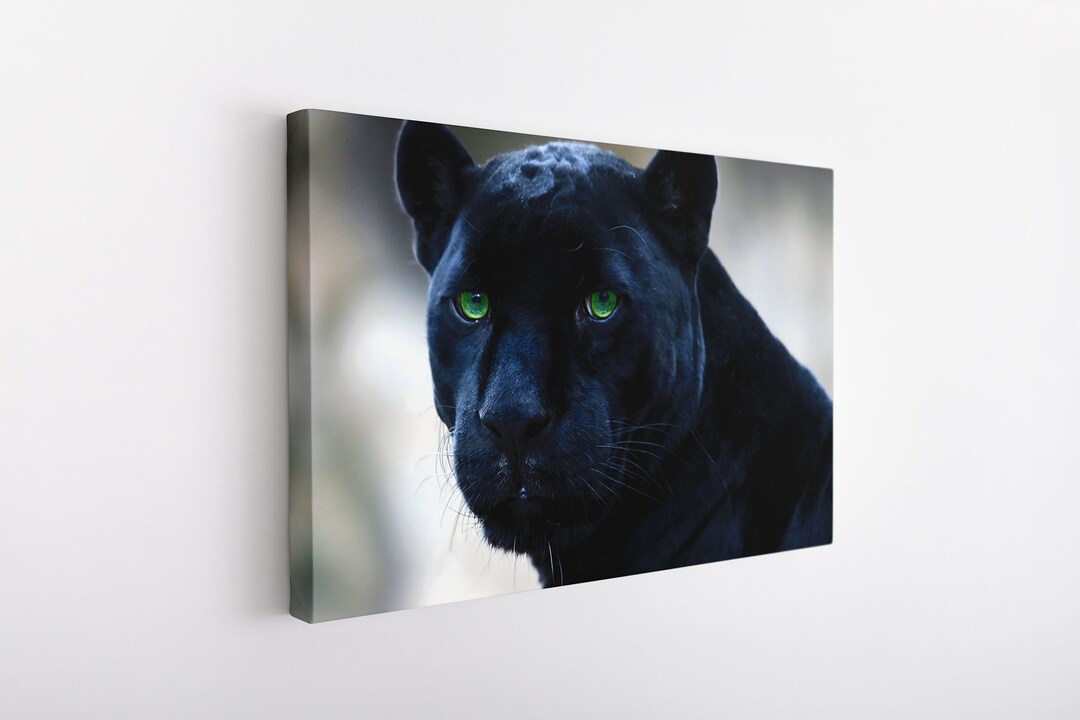 Black Panther Poster, Panther Canvas, Panther Wall Art, Panther Print ...