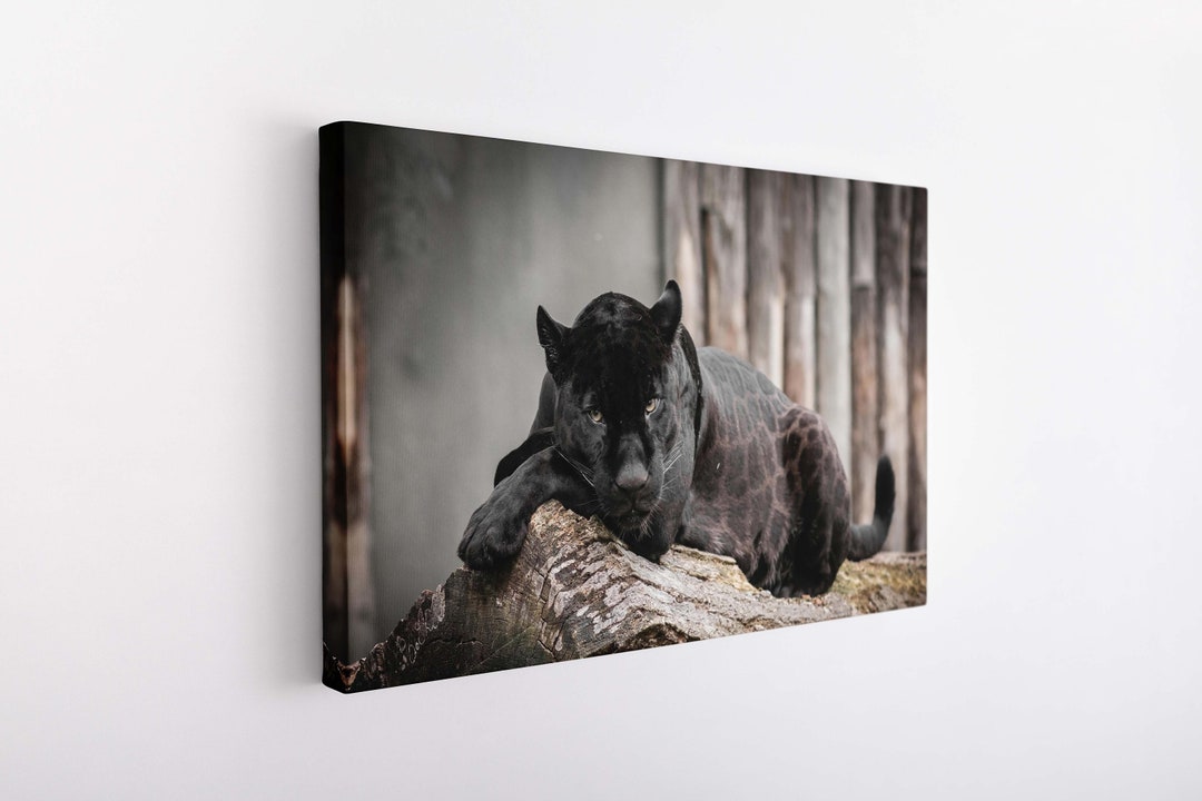 Black Panthera Wall Art, Panther Canvas, Panther Wall Art, Panther ...