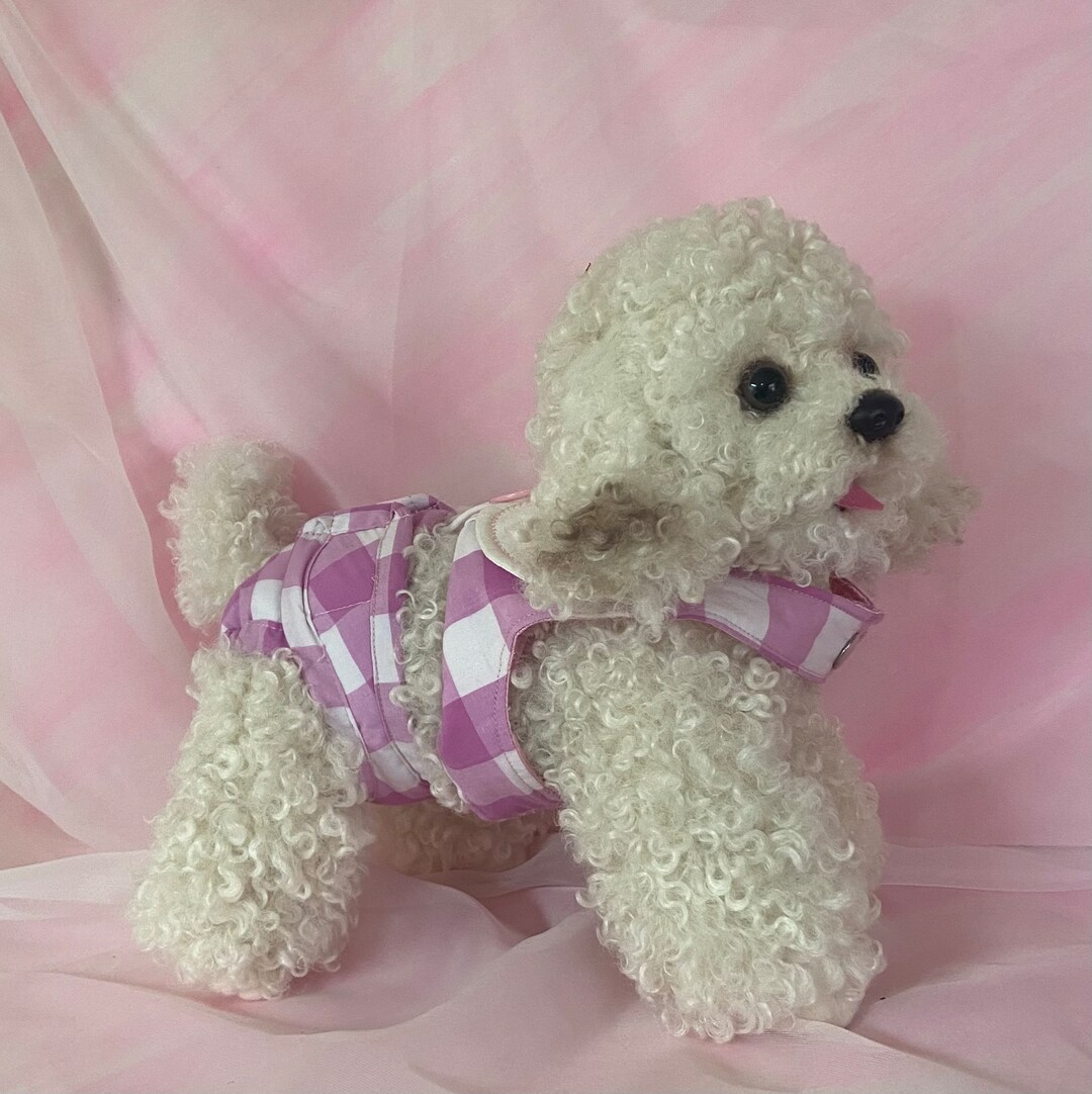 Incontinence Female Girl Dog Cat Pig Diaper Set Lined Absorbent Stays ...