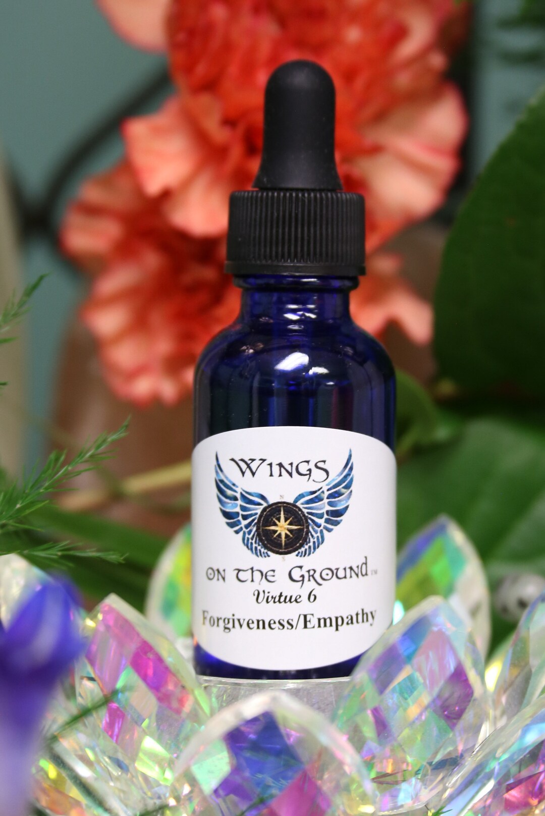 6 Forgiveness / Empathy: Wings on the Ground 9 Virtues Flower Elixir - Etsy