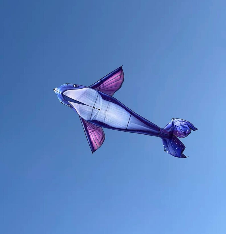 Whale Design Giant Flying Fish Kite – 100-750M Long Line, High ...