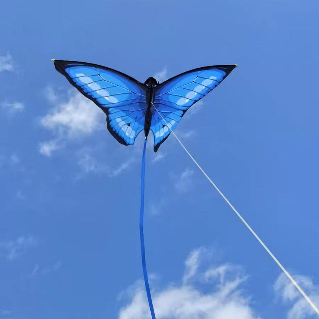 Blue Butterfly Kite – Graceful Flying Kite for Kids & Adults, Outdoor ...