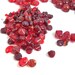 COLOR STORY of Red Beads: A Variety Pack of Coordinating Colors ...