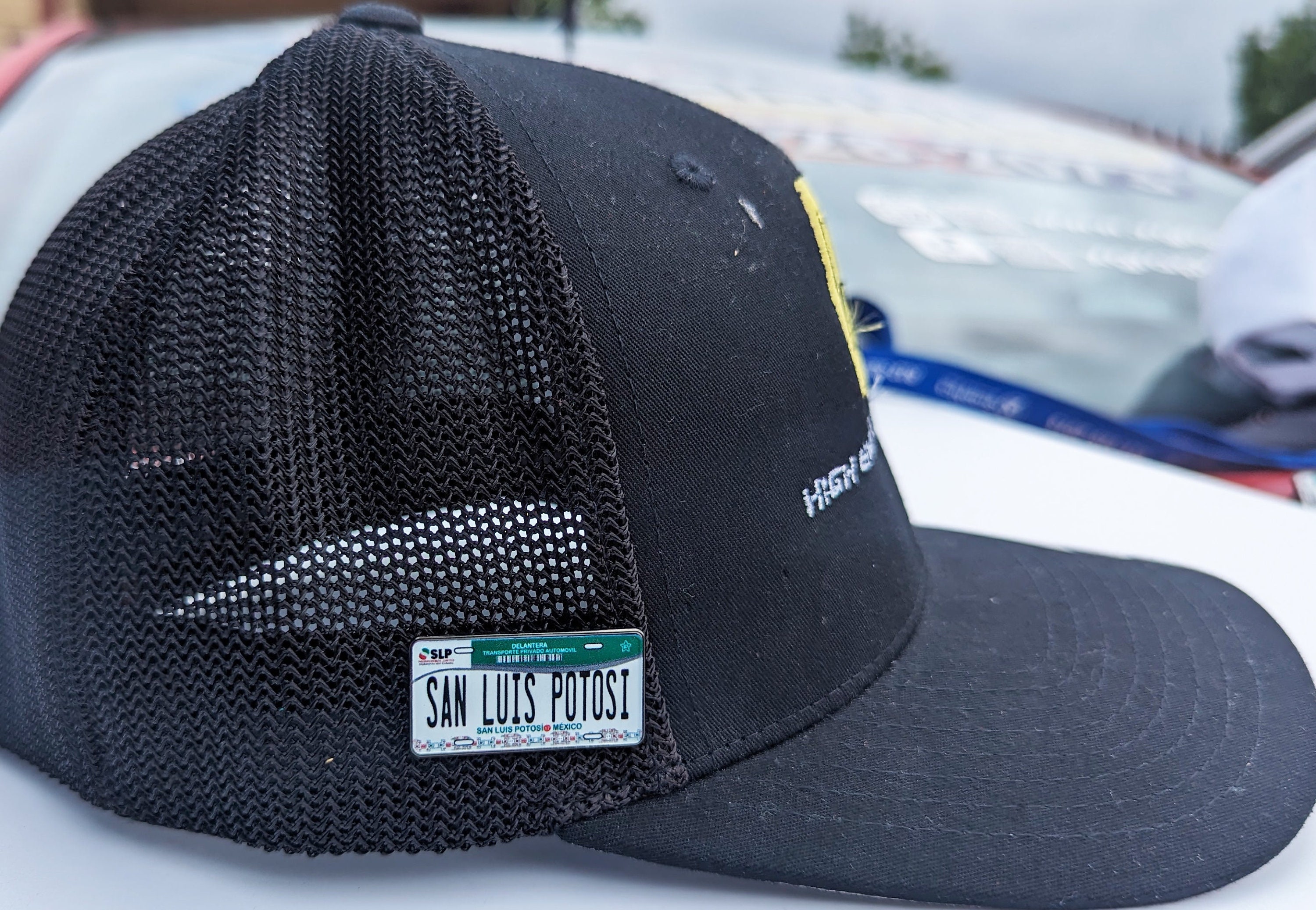 San Luis Potosi Car Plate Pin for Caps and Clothing Enamel Badge Pin ...