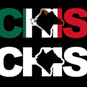 Chiapas Letters Decal Car Window Laptop Map Vinyl Sticker Mexico CHIS - Etsy