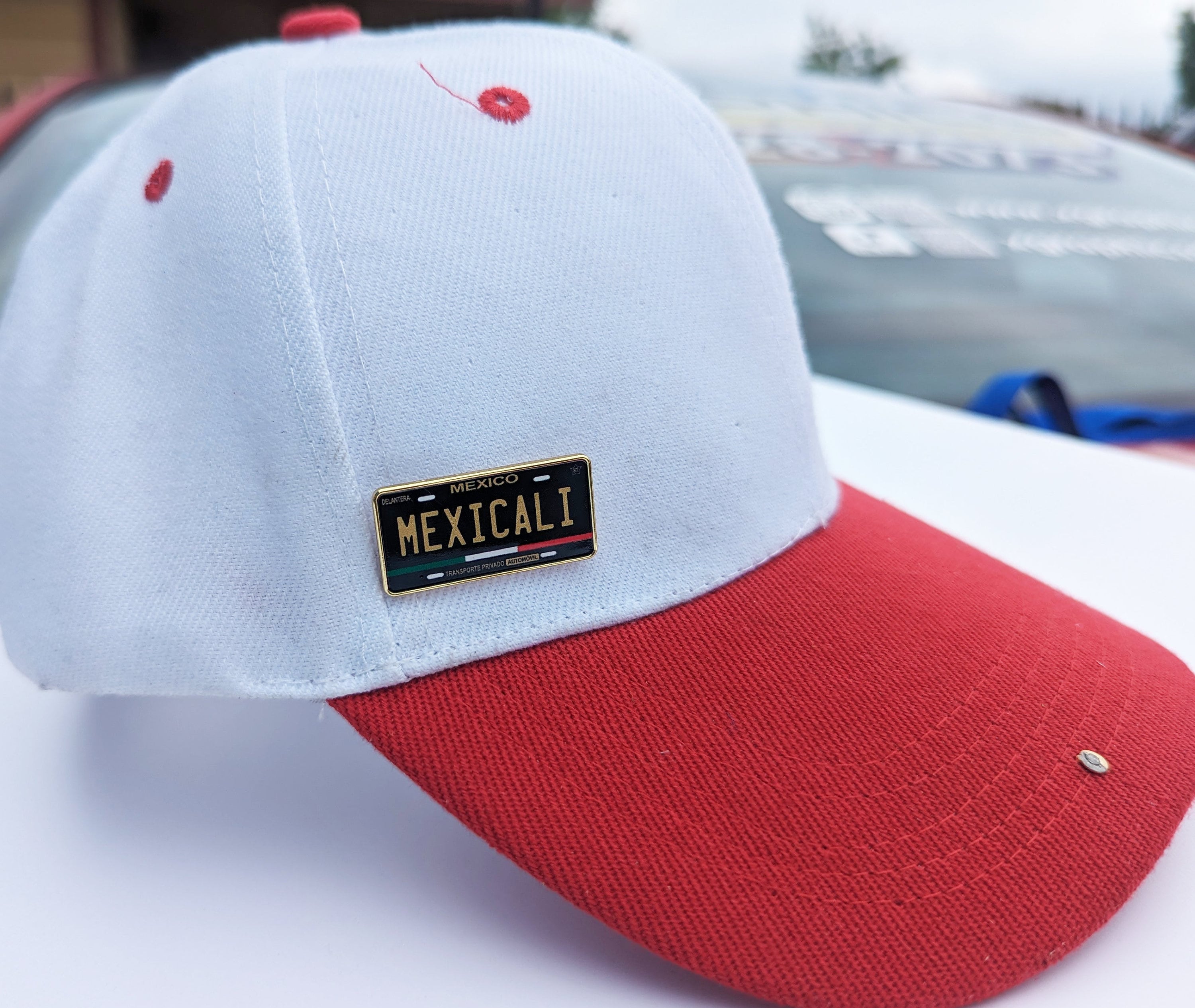 Mexicali Car Plate Pin for Caps and Clothing Enamel Badge Pin Baja ...