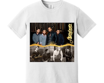 Aventura Tour Comfort Colors Shirt, Aventura Tour T-shirt, Cerrando ...