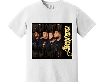 Aventura Tour Comfort Colors Shirt, Aventura Tour T-shirt, Cerrando ...