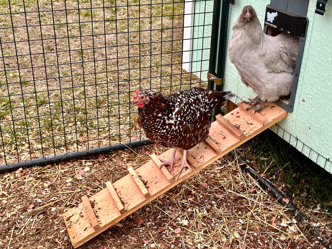35" Western Red Cedar Chicken Coop Ladder Ramp - Etsy