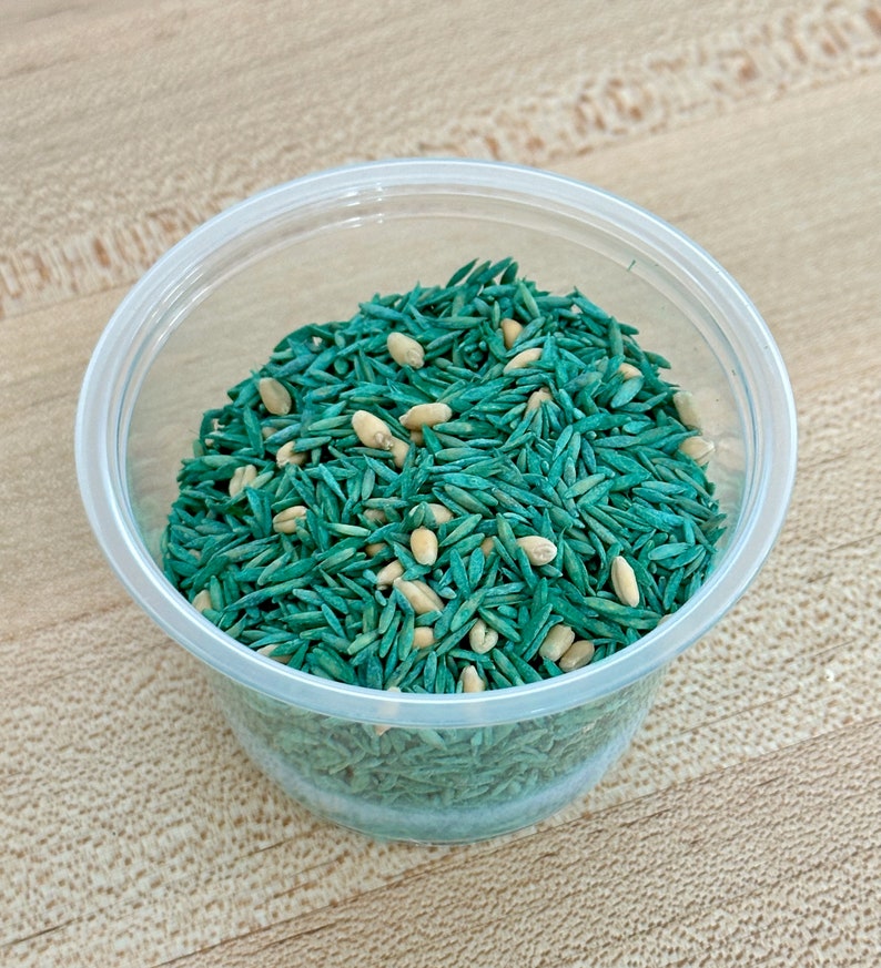 36 X 12 Chicken Run Grass Garden Bar includes Grass Seed Mix - Etsy