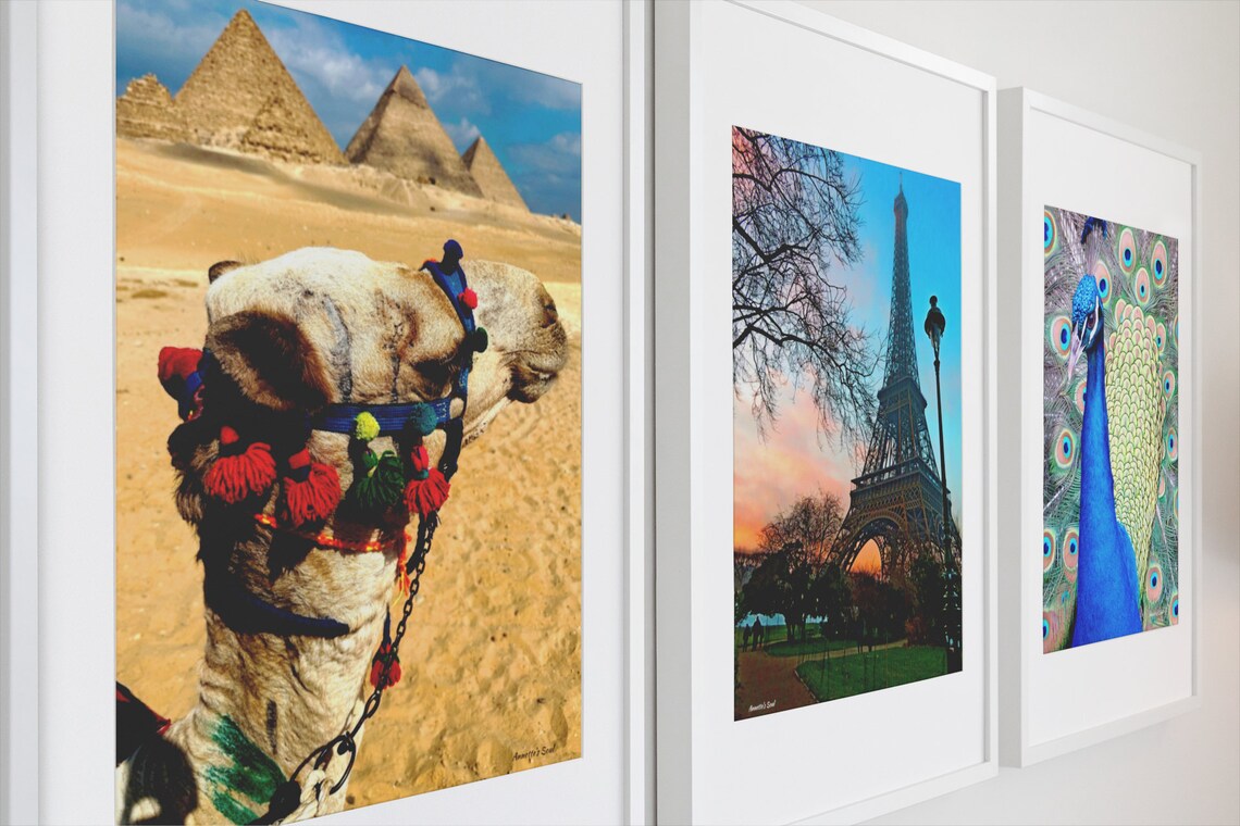 Egyptian Camel, Matte Posters - Etsy