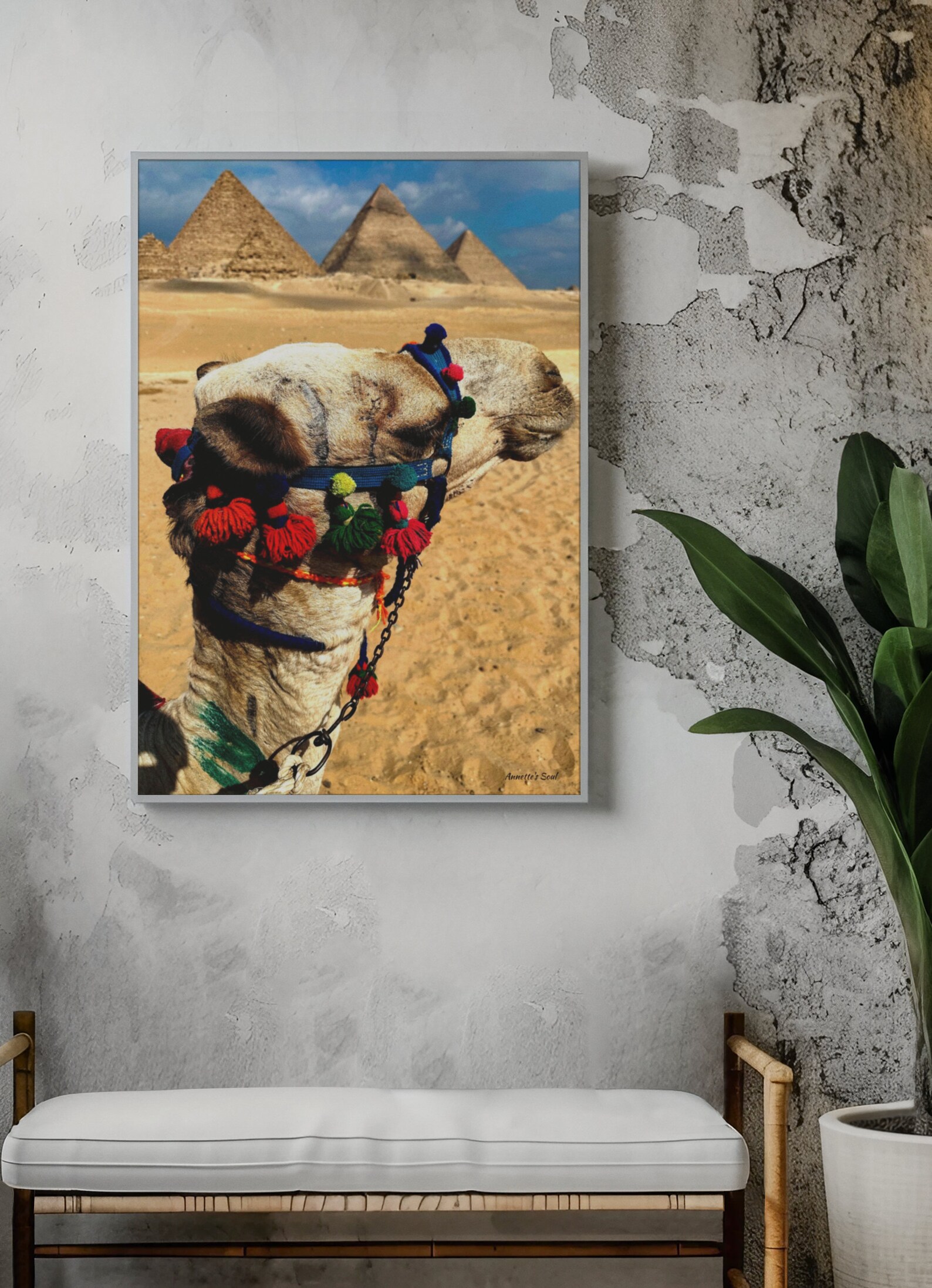 Egyptian Camel, Matte Posters - Etsy