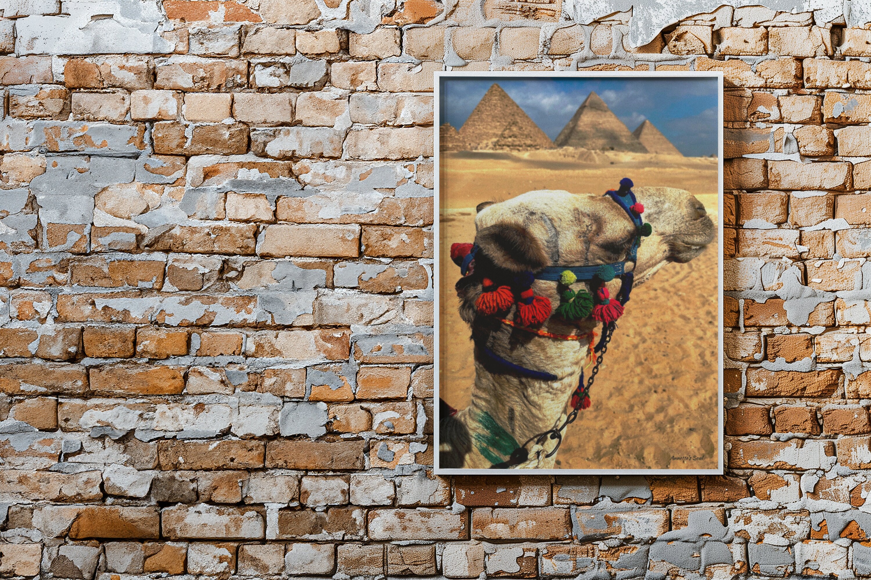 Egyptian Camel, Matte Posters - Etsy