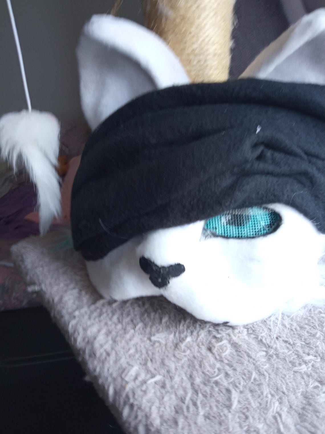 Gojo Satoru Jujutsu Kaisen Cat Therian Mask - Etsy