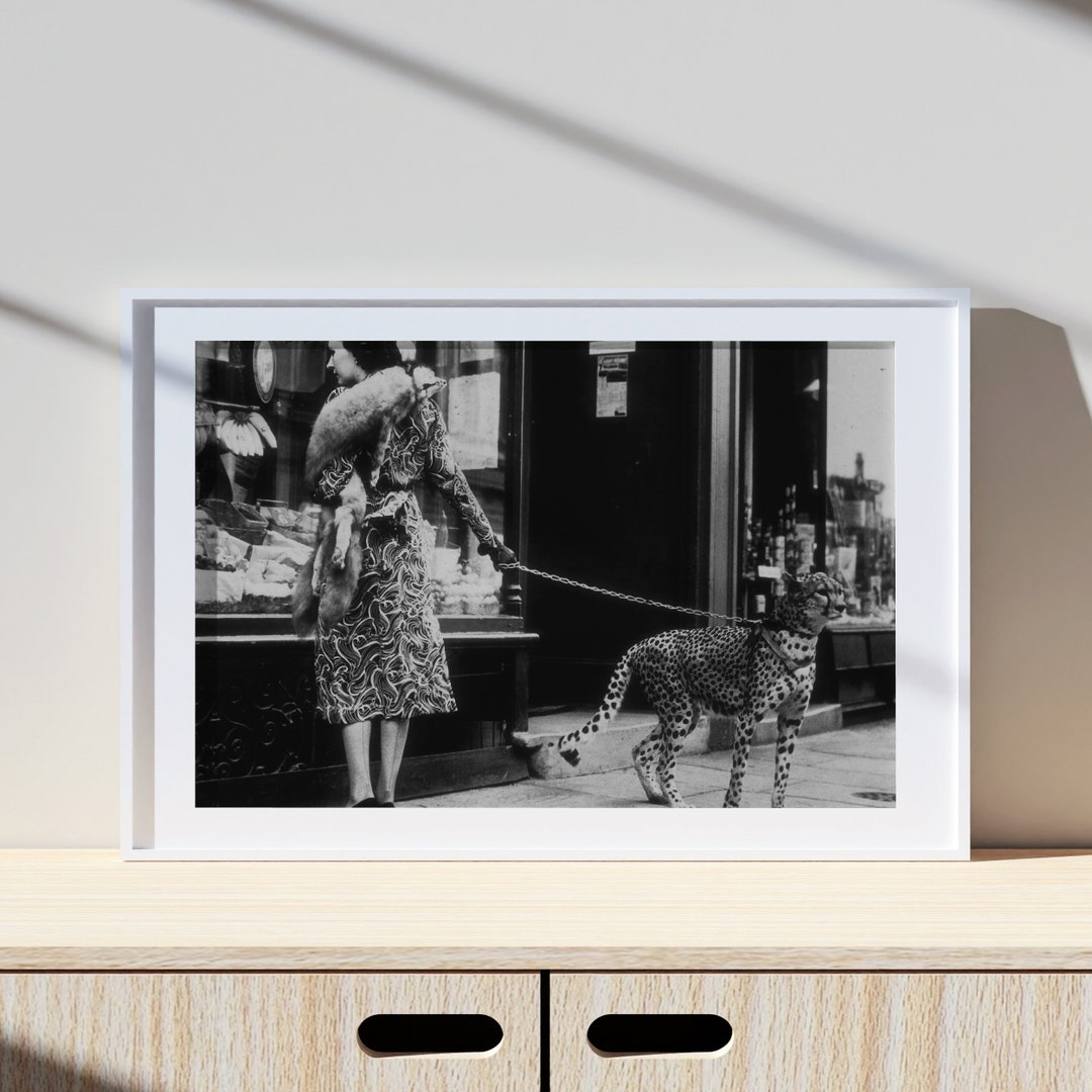 Leopard on Leash, Feminist Poster, Vintage Print, Photography Print ...
