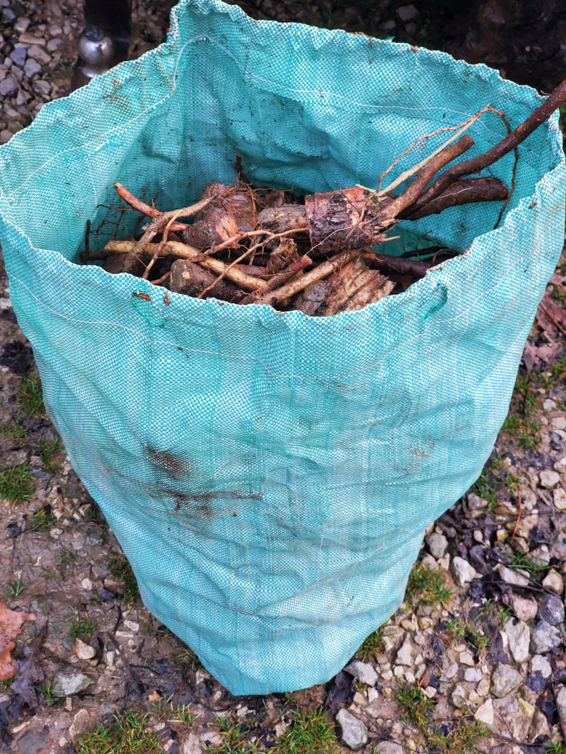 Potent Red Root Sassafras 1LB - Etsy