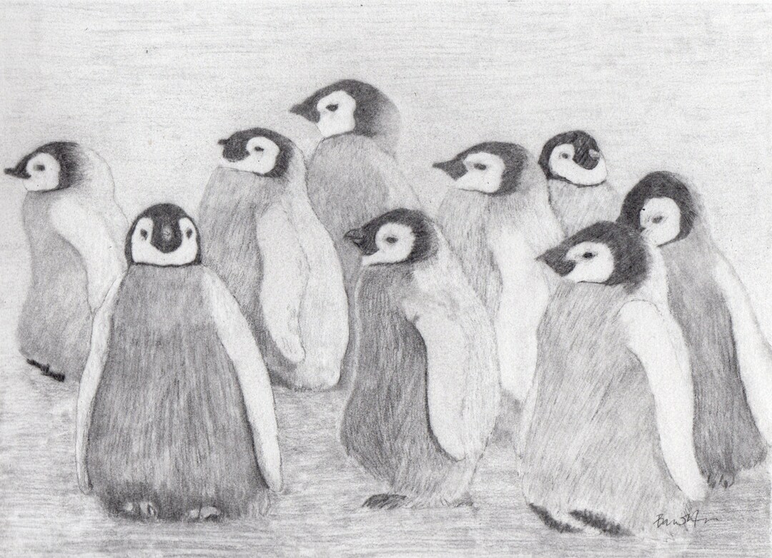 Original Penguins Pencil Drawing - Etsy