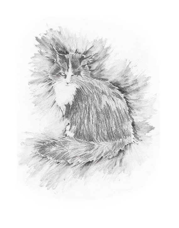 Calico Cat Pencil Giclee Print Portrait on Coldpressed | Etsy