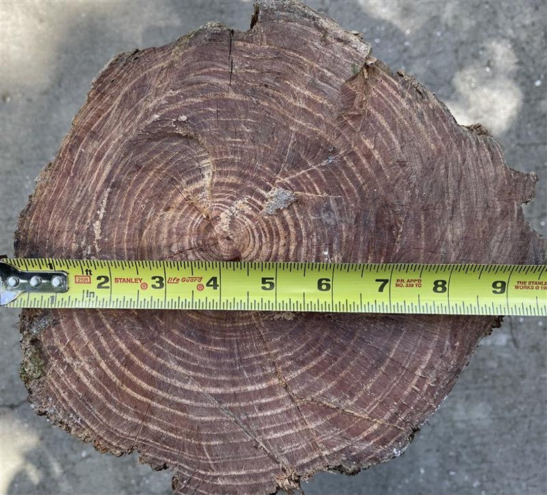 Fatwood Log, 60 Pounds, Heartwood Pine - Etsy