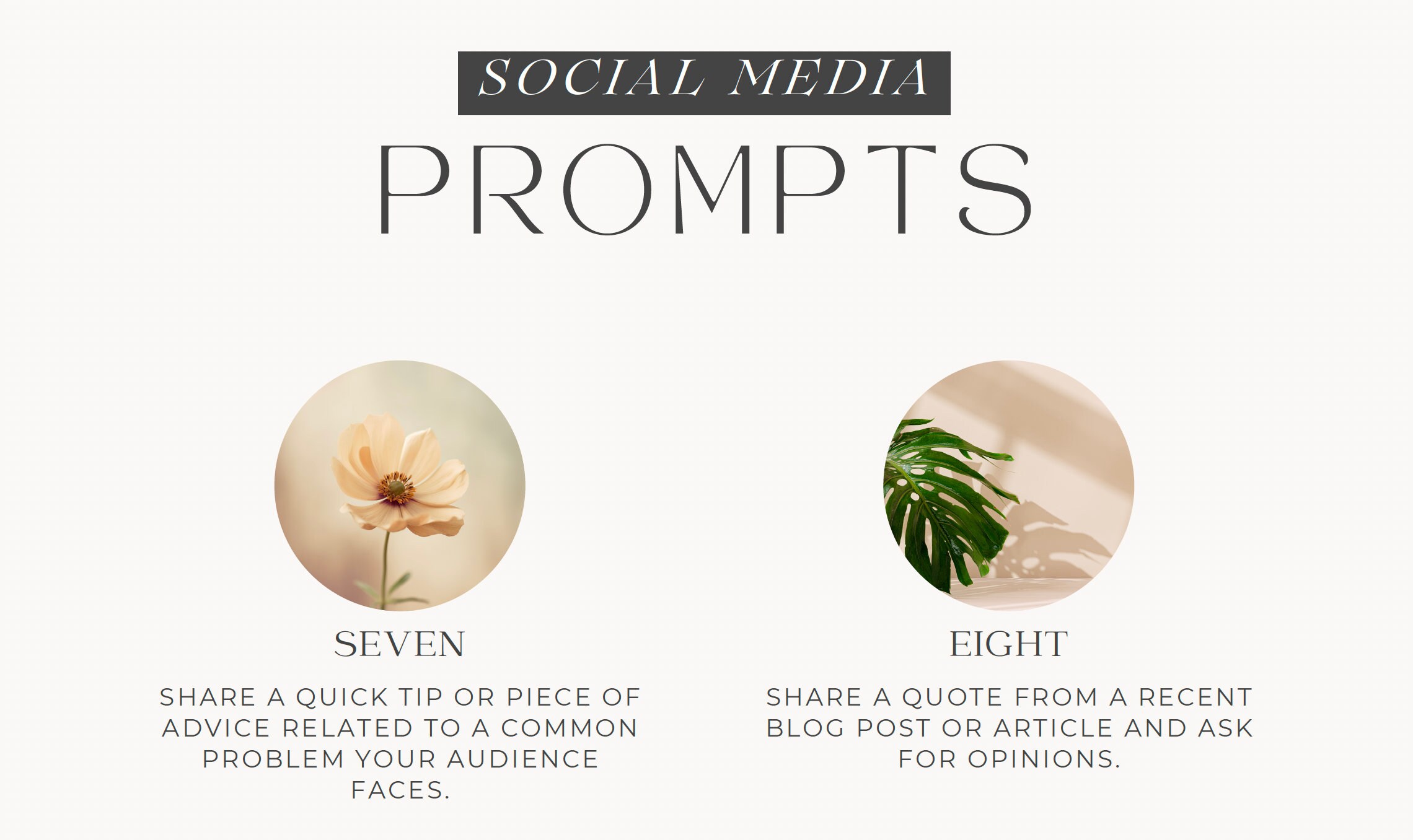 Social Media Prompts, 12 Prompts for Social Media, Small Business ...