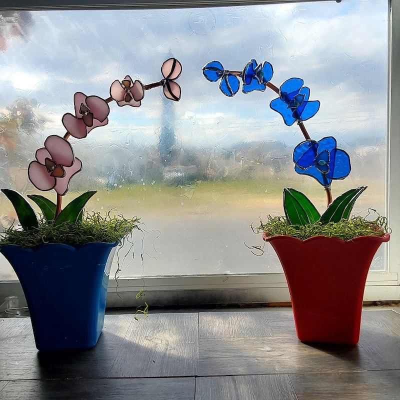 Glass Orchid - Etsy
