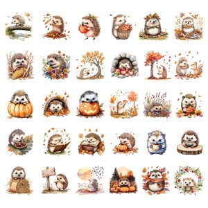 Watercolor Hedgehog Clipart Bundle, Cute Hedgehog Clipart, Hedgehog ...