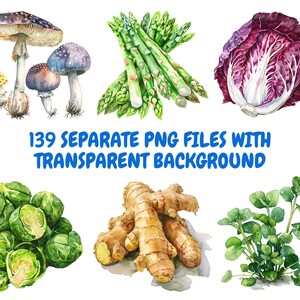 Watercolor Farm Vegetables Clipart Bundle, Farmers Market Clipart ...