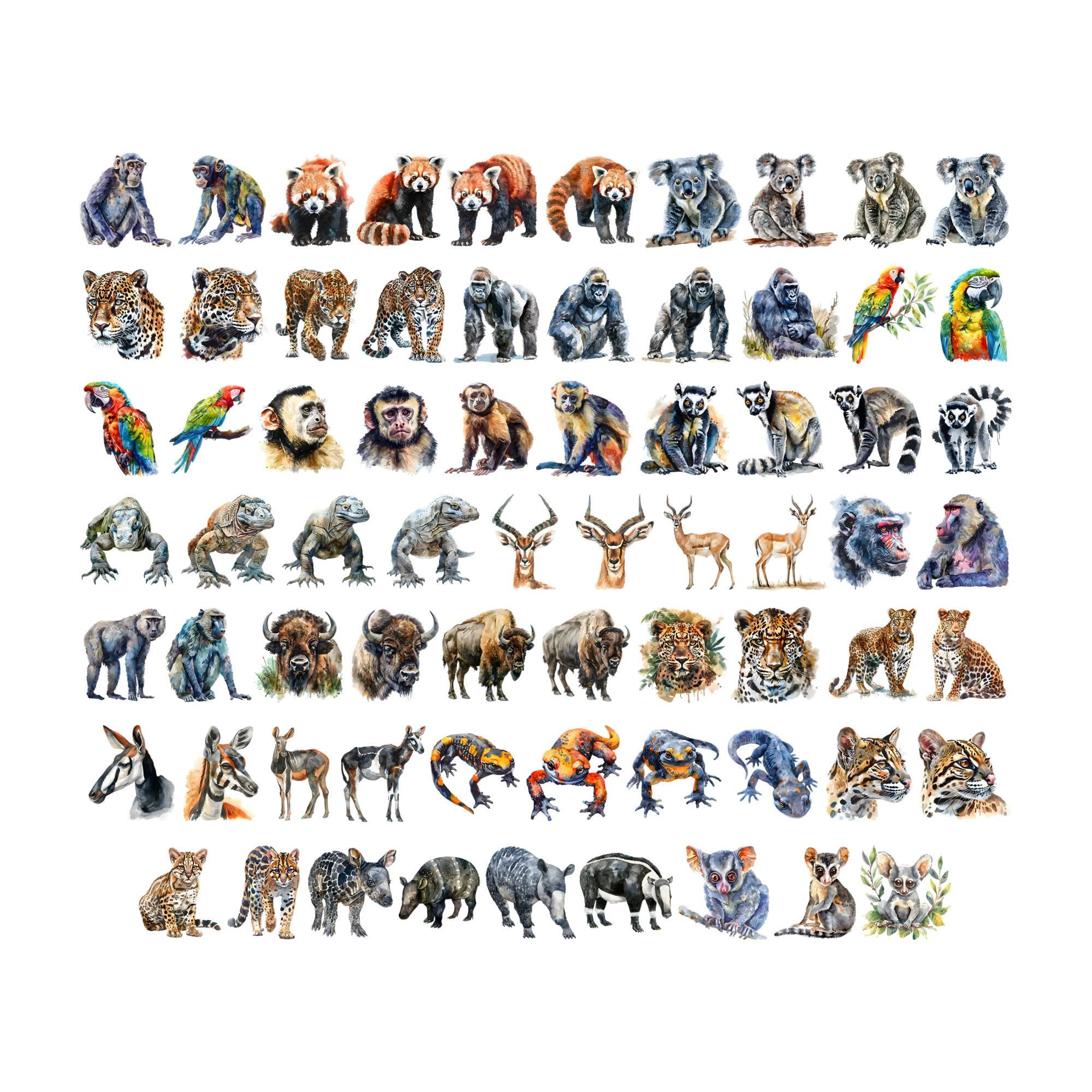 Watercolor Jungle Animals Clipart Bundle, Safari Animal Clipart, Monkey ...