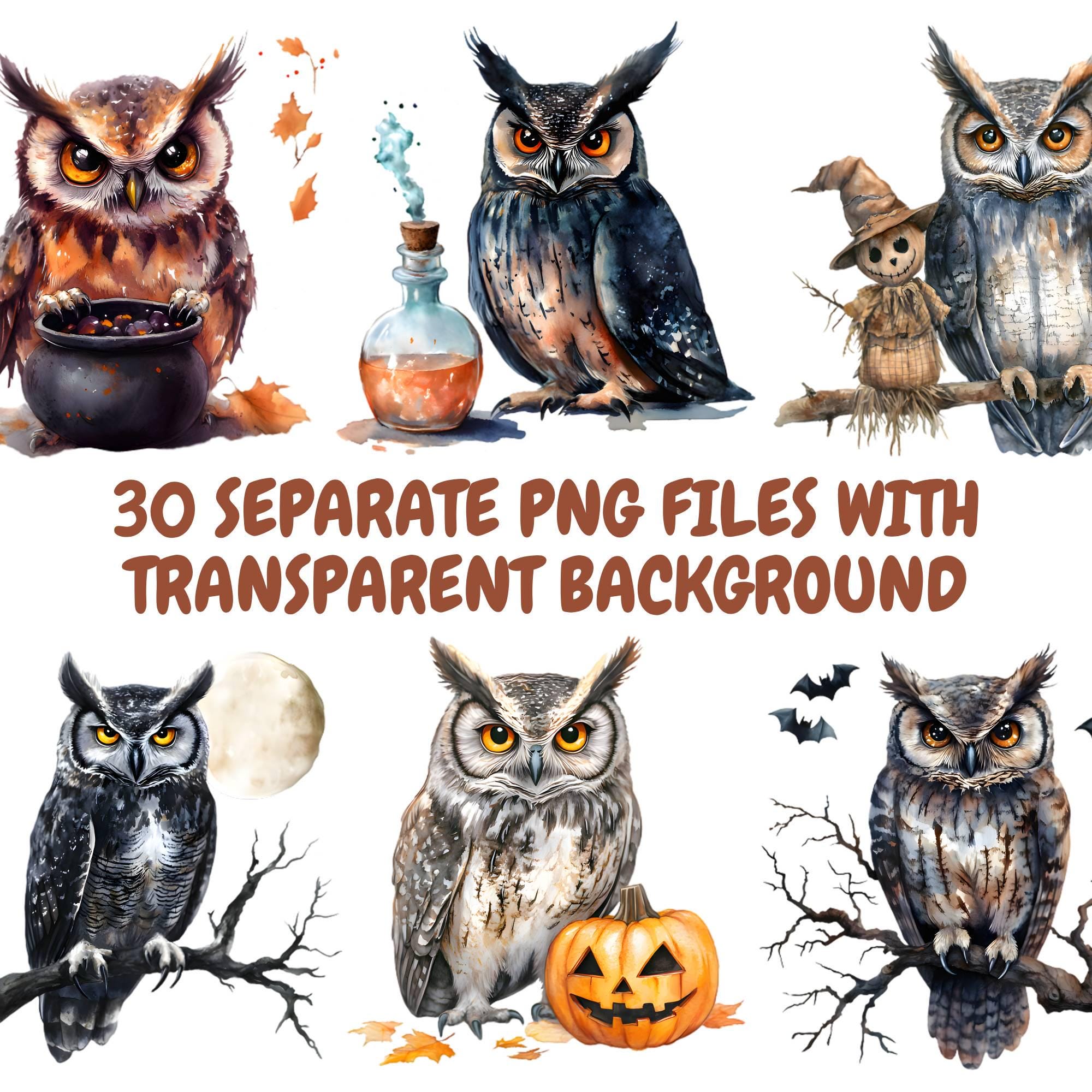 Watercolor Spooky Owls Clipart Bundle, Halloween Owl Clipart, Magic Owl ...