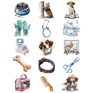 Watercolor Veterinary Clipart Bundle, Animal Hospital Clipart ...