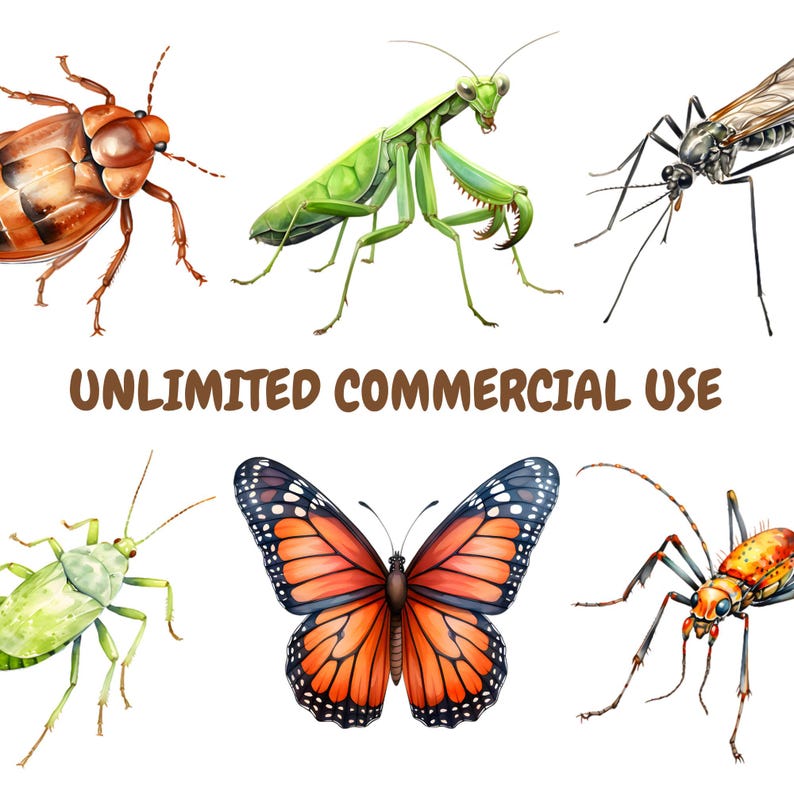 Watercolor Insects Clipart Bundle, Forest Bugs Clipart, Grasshopper ...