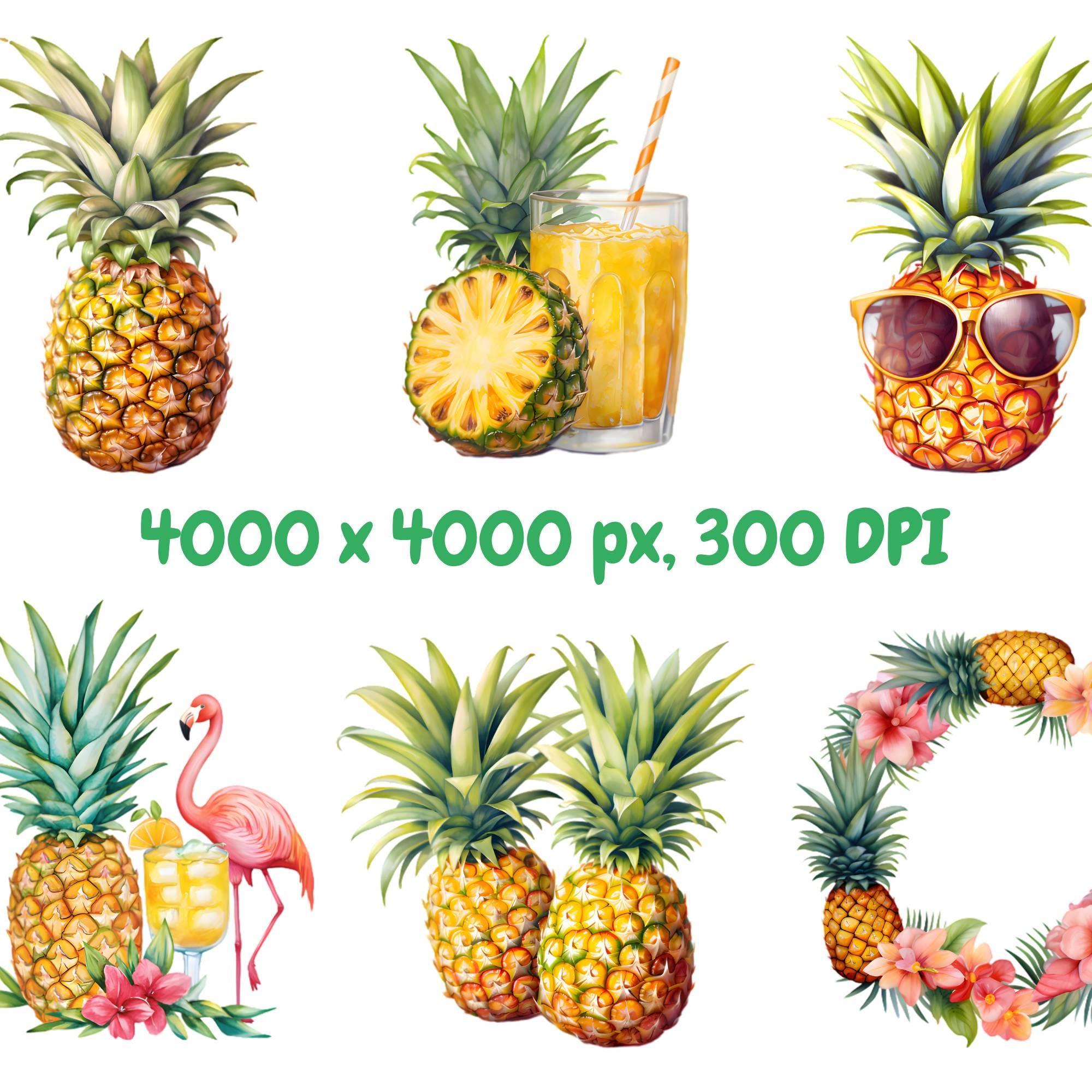 Watercolor Pineapple Clipart Bundle, Tropical Fruit Clipart, Pineapple ...