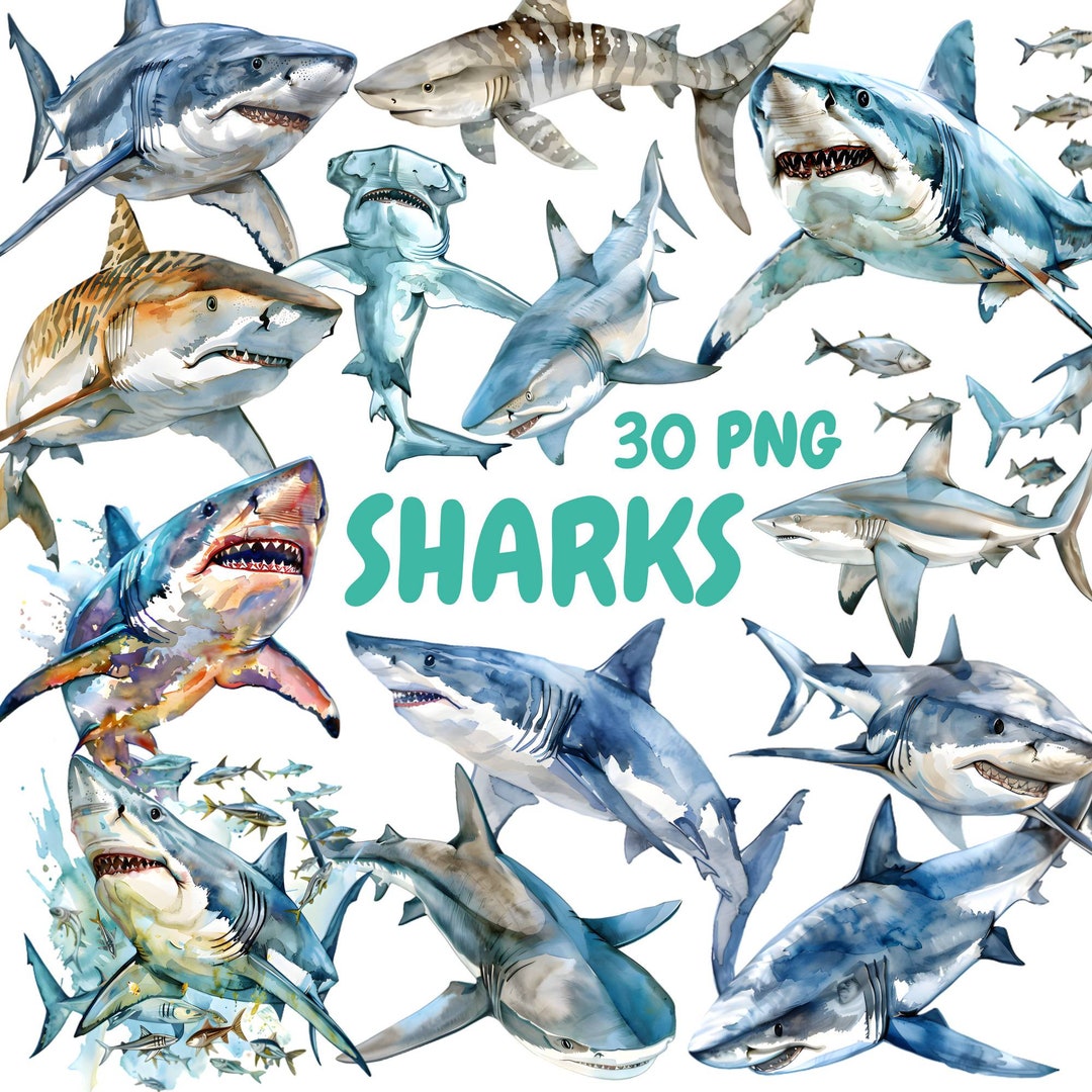 Watercolor Sharks Clipart Bundle, Sea Creatures Clipart, Shark ...