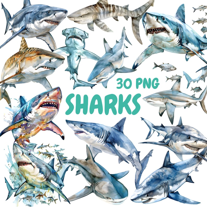 Watercolor Sharks Clipart Bundle, Sea Creatures Clipart, Shark ...