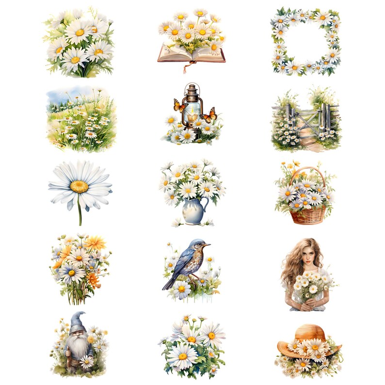 Watercolor Daisy Flowers Clipart Bundle, Daisy Bouquet Clipart, Spring ...