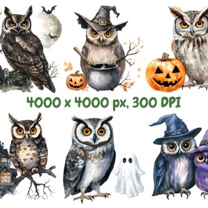 Watercolor Spooky Owls Clipart Bundle, Halloween Owl Clipart, Magic Owl ...