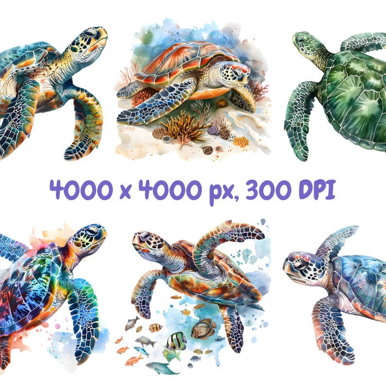 Watercolor Sea Turtles Clipart Bundle, Ocean Animals Clipart, Turtle ...