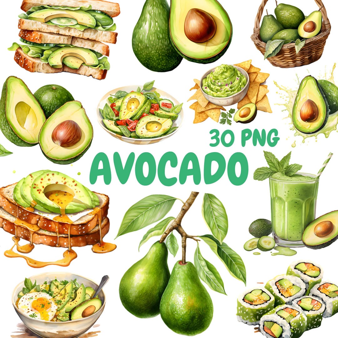 Watercolor Avocado Clipart Bundle, Healthy Food Clipart, Fruit ...