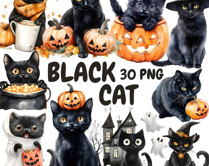 Black Cat Clipart Bundle PNG Set | Cute Black Cat Illustrations ...